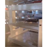 China Single Layer PETG Board Extrusion Line For  Advertising Display Board for sale