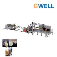 China Plastic Hollow PC Sheet Extrusion Line  sunshine plate making machine more than 10 years endurece for sale