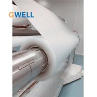 China PVDF Casting Film Plastic Sheet Extrusion Machine For SGP for sale