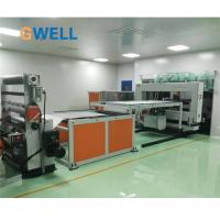China PVDF Casting Film Plastic Sheet Extrusion Machine For SGP for sale