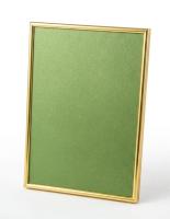 China Fruit Green PVD Coated Stainless Steel Sheet with Vibration Finish and Fingerprint-Proof Surface for sale
