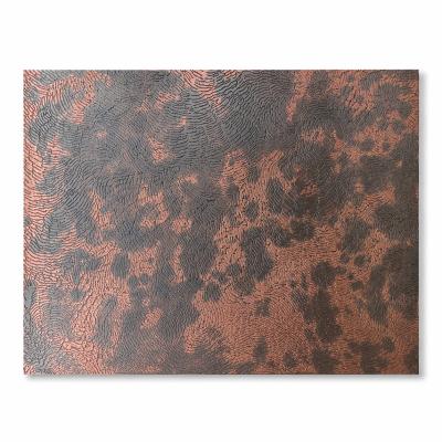 China Anti-Fingerprint Scratch Resistant Stainless Steel Sheet with Customizable Color Options for Decorative Panels for sale