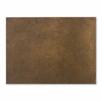 China Antique Copper Speckled Texture Stainless Steel Panel with Anti-Fingerprint Treatment and Customizable Color Options for sale