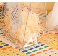 China Travel and Outgoing Ladies Beach Bag Transparent Pvc Shopping Bag with Leather Handle for sale