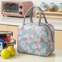 China Accepable OEM/ODM Waterproof Aluminum Foil Insulated Cooler Bag for Takeaway Bento Box for sale