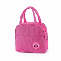 China Custom Logo Aluminum Foil Kids Lunch Bag with Thermal Insulation and OEM/ODM Acceptable for sale