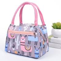 China Insulated Thermal Fashion Style Cooler Picnic Lunch Box Bag for Daily Life Needs for sale