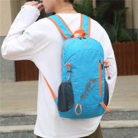 China Custom Logo Nylon Sports Gym Bags Collapsible Lightweight Waterproof Outgoing Backpack for sale