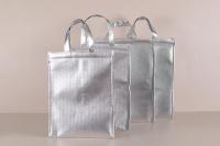 China Custom Logo Accepted Insulated Lunch Cooler Bag Rigid With Aluminium Foil Eco Friendly for sale
