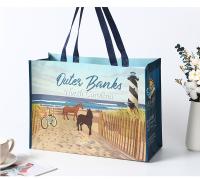 China Medium Size Eco Friendly Laminated Nonwoven Bag for Customized Shopping Boutique for sale