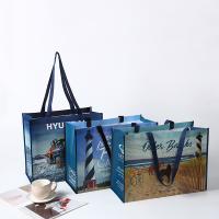 China Medium Size Eco Friendly Laminated Nonwoven Bag for Customized Shopping Boutique for sale