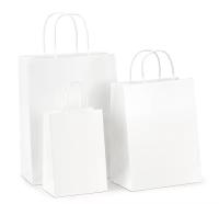 China Paper Twisted Handle Shopping Gift Carrier Bag With Logo Printed and OEM/ODM Accepted for sale