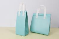 China Newest Fashionable OEM/ODM Acceptable Insulated Tote Food Bag for Grocery Food Delivery for sale