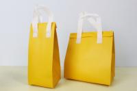 China Newest Fashionable OEM/ODM Acceptable Insulated Tote Food Bag for Grocery Food Delivery for sale