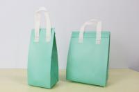 China Newest Fashionable OEM/ODM Acceptable Insulated Tote Food Bag for Grocery Food Delivery for sale
