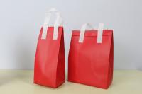 China Newest Fashionable OEM/ODM Acceptable Insulated Tote Food Bag for Grocery Food Delivery for sale