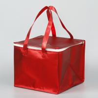 China Accepable OEM/ODM Newest Fashinable Reusable Insulated Tote Bag for Grocery Delivery for sale
