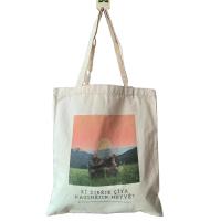 China Custom Printed Logo Gifts Durable Cotton Canvas Shopping Tote Bag with Customized Color for sale