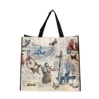 China Non-Woven Tote Bag with Custom Logo Printing Accepable OEM/ODM Pp Woven Shopping Bag for sale
