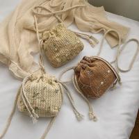 China Daily School Life 2022 Summer Beach Holiday Handbag Summer Crossbody Bag For Women Pattern Type Other for sale