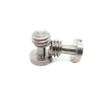 China High Precision M1 Lobe Miniature Micro Screw Movement Screw for Watches for sale