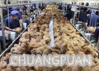 China Coconut Processing Machine|Turn Key Customize 1-20T/h Coconut Water Production Line for sale