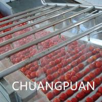 China Tomato Paste Production Line|Energy-Saving 1-10T/H Aseptic Bag Package Tomato Paste Processing Machine for sale