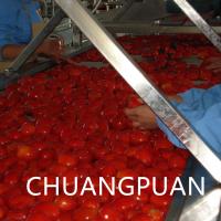 China High-Speed Tomato Paste Production Line Filling Speed 0.5-10T/H Packaging System Automatic for sale