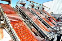 China PLC Control Industrial Tomato Paste Production Line for sale
