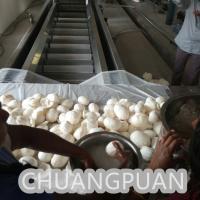 China Coconut Water Extraction in Customized Packaging System of Coconut Processing Machine for sale