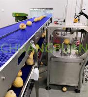 China Milk Coconut Processing Machine With 304 Stainless Steel for sale