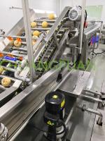 China Custom Coconut Processing Machine 35-120kw 304 Stainless Steel for sale