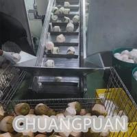 China Efficient Coconut Water And Milk Processing Machine Bottle Filling System 1 Year for sale