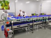 China 0.5-25T/H Coconut Processing Machine 304 Stainless Steel for sale