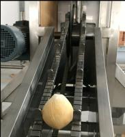 China Coconut Water Cutting Machine Enhanced Efficiency for Coconut Water Extraction for sale