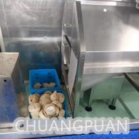 China Custom Coconut Water Making Machine 1-25 BIB Bag for sale
