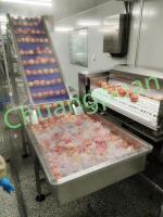 China 380V 50Hz 15T Apple Juice Production Line Cold Pressing for sale