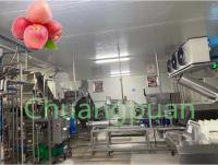 China 380V 50Hz Apple Juice Production Line Cold Pressing for sale