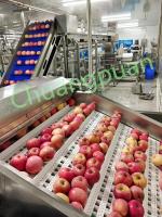 China Carton Bottle Can Packaging Machine To Make Apple Juice for sale