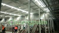China Stainless Steel Mango Pulp Production Line 380V 410V for sale