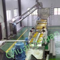 China 410V Stainless Steel Mango Pulp Production Line 20KW for sale