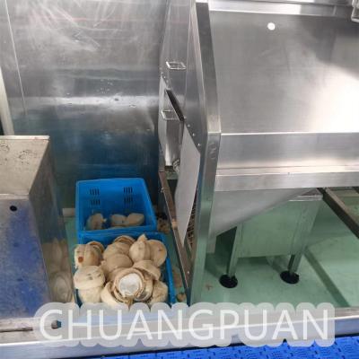 China High Voltage Coconut Water Extraction Machine 1-10T/H Filling Speed for sale