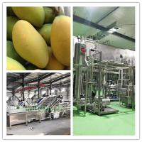 China ISO9001 CE Mango Pulp Production Line 500-50000KG/H for sale