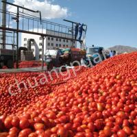 China China manufacturer concentrated tomato paste production line for sale