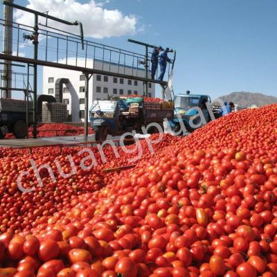 China China manufacturer concentrated tomato paste production line for sale