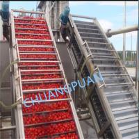 China Automatic Filling System Tomato Production Line for Glass Bottle Packaging for sale