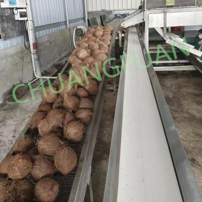 China Oil Extraction Coconut Processing Machine 220V 380V 415V for sale