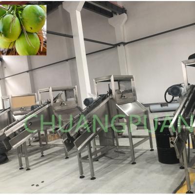 China Premium Coconut Water Cutting Machine 316 Stainless Steel for sale