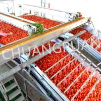 China High-Speed Tomato Production Line Tube In Tube Sterilizer 2-20T/H Filling Speed for sale