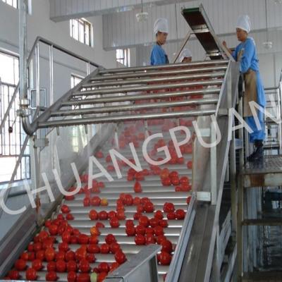 China Automatic Packaging System for Tomato Paste Production Line with Customized Design for sale